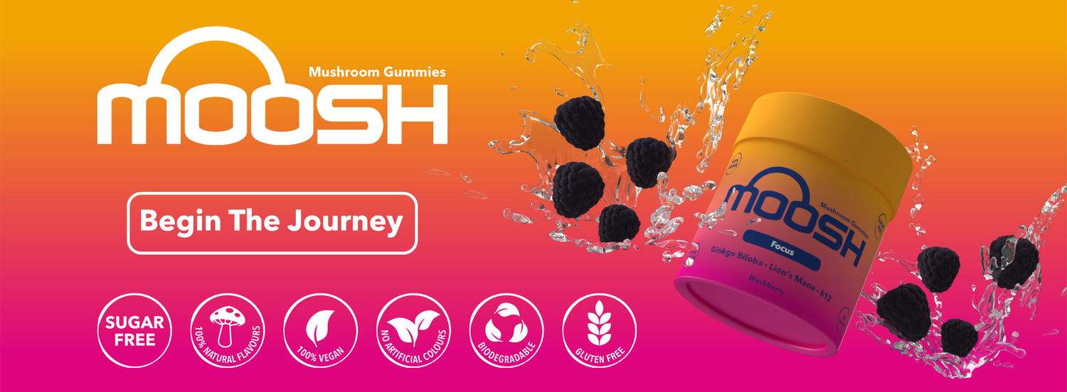 Mushroom Gummies and Supplements Online | Moosh