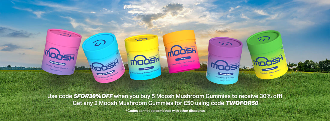 Mushroom Gummies and Supplements Online | Moosh